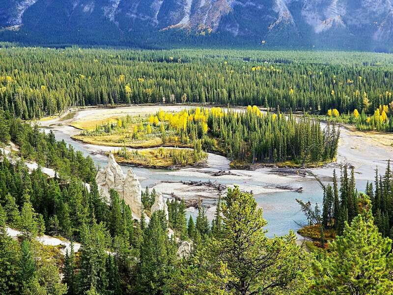 From Banff/Canmore: Deep 1 Day Tour in Banff National Park - Practical Details and Value