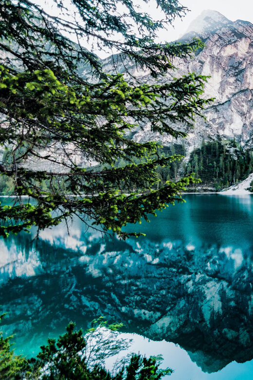 From Banff/Canmore: Moraine Lake, Lake Louise 1.5 hrs Each - Final Thoughts: Who Will Benefit from This Tour?
