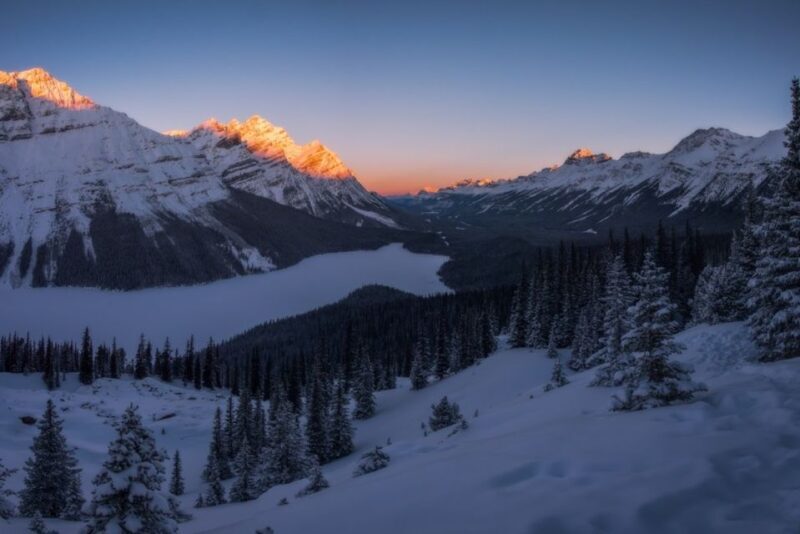 From Banff: Icefields Parkway & Abraham Lake Ice Bubbles - An Overview of the Tour Experience