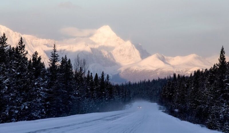 From Banff: Icefields Parkway & Abraham Lake Ice Bubbles - Scenic Drive Along the Icefields Parkway