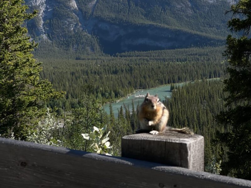 From Banff: Moraine Lake and Lake Louise Half Day Tour - Additional Practical Details