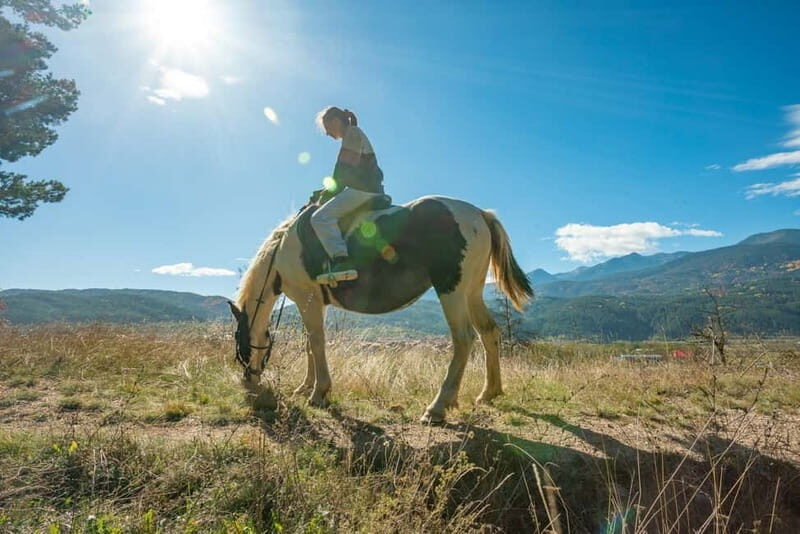 From Bansko: Horse Riding Experience - An In-Depth Look at the Horse Riding Tour Near Bansko