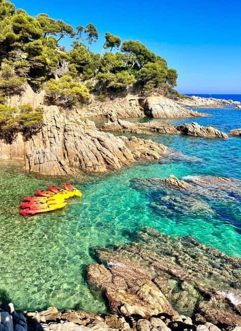 From Barcelona: Costa Brava Kayak & Snorkel Tour with Picnic - Authentic Experiences & Notable Insights from Reviewers