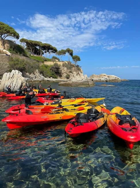 From Barcelona: Costa Brava Kayak & Snorkel Tour with Picnic - Why This Tour Works for You
