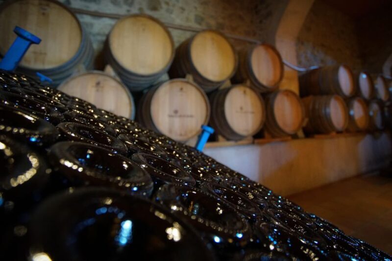 From Barcelona: E-Bike and Sailing Tour with Wine Tastings - Practical Considerations and Tips