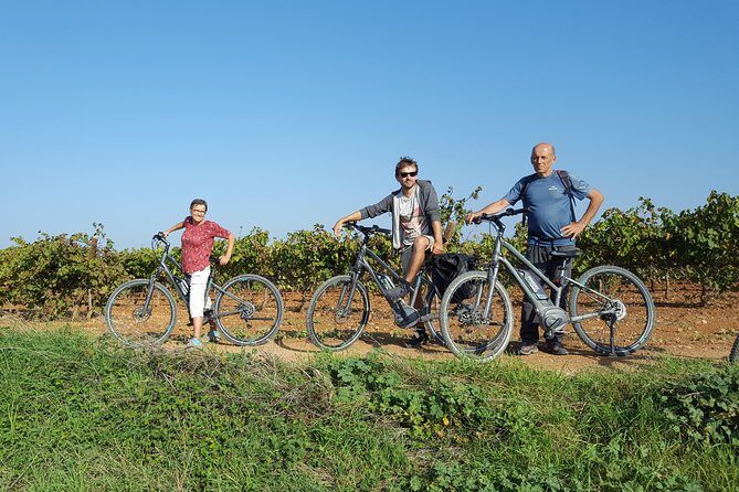 From Barcelona: E-Bike Tour in the vineyards with 2 Wineries - The Sum Up