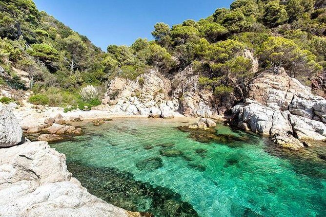 From Barcelona : Girona and Costa Brava Small Group Tour - Final Thoughts  