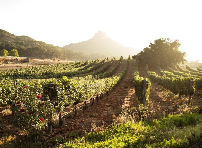 From Barcelona: Half-Day Trip to Montserrat Mountain - Is This Tour Worth It?  