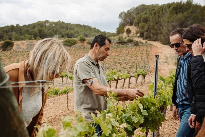 From Barcelona: Montserrat & Cava Winery Day Trip - Final Thoughts