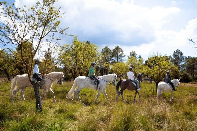 From Barcelona: Montserrat Walking and Horseback Riding Tour - What’s Included and What to Bring