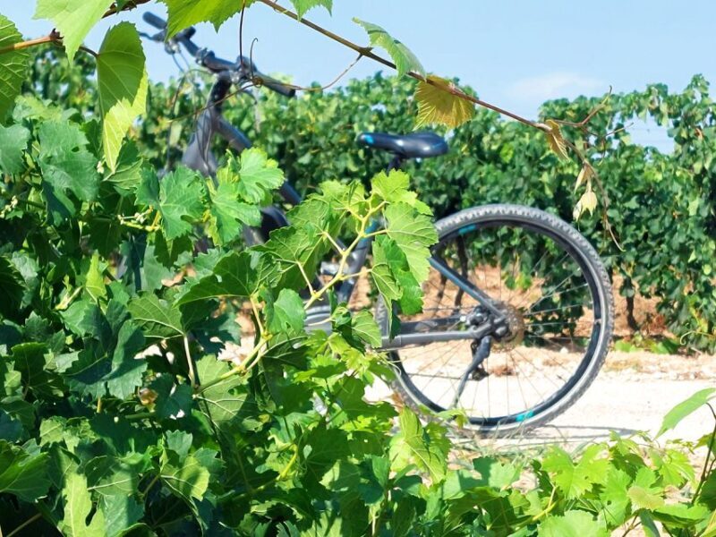 From Barcelona: Penedès E-Bike Tour with 2 Winery Visits - Unique and Authentic: Exploring Penedès by E-Bike from Barcelona