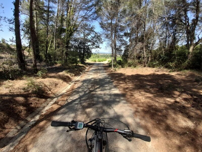 From Barcelona: Penedès E-Bike Tour with 2 Winery Visits - Practical Tips and Considerations