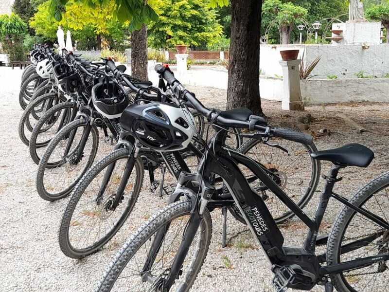 From Barcelona: Penedès E-Bike Tour with 2 Winery Visits - FAQs