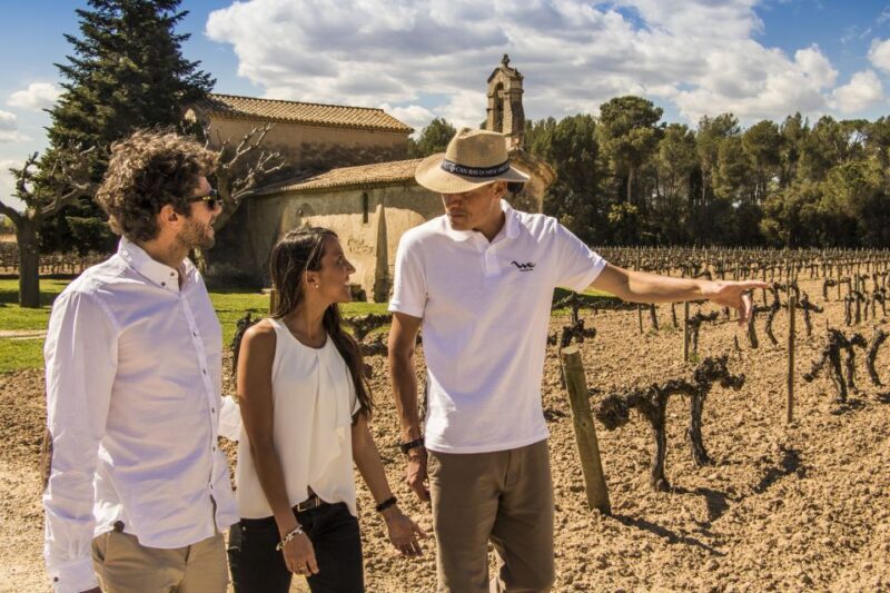 From Barcelona: Penedés Vineyards Tour by 4WD w/Wine & Cava - Final Thoughts