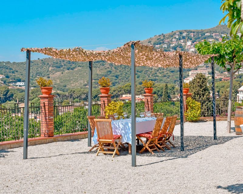 From Barcelona: Private Alella Wine Tour by Electric Bike - The Experience in Detail