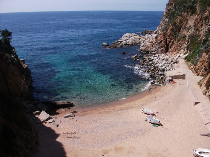 From Barcelona: Private Girona and Costa Brava Guided Tour - Authentic Experiences Highlighted by Reviews