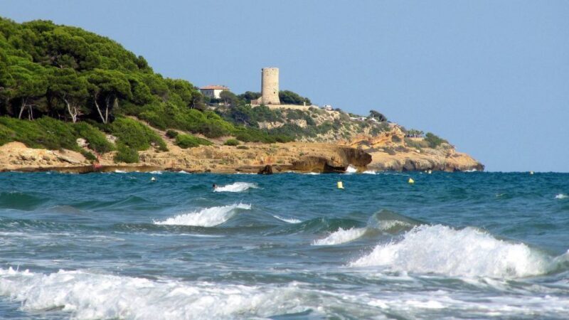 From Barcelona: Private Half-Day Tarragona Tour with Pickup - The Experience from Reviews: Authentic Insights