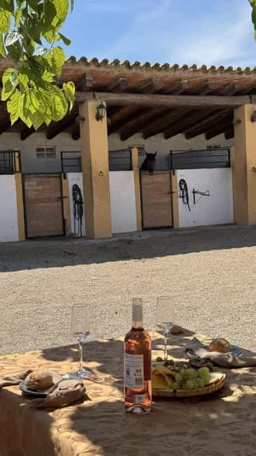 From Barcelona: PRIVATE Horseback Ride + Tapas + Picnic - An In-Depth Look at the Experience