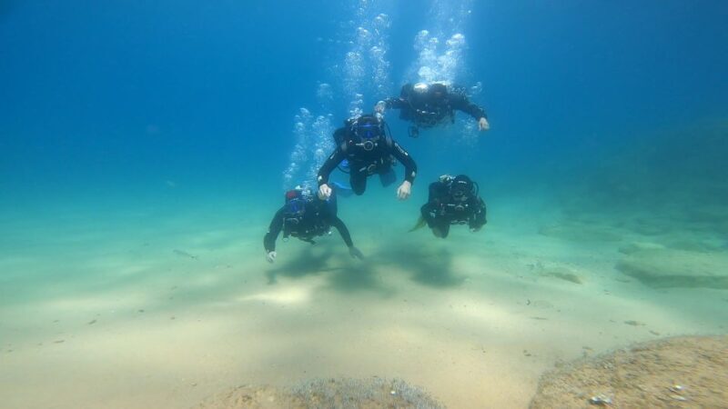 From Barcelona: Tossa de Mar Scuba Diving and 3-Course Meal - Final Thoughts: Who Will Love This Tour?