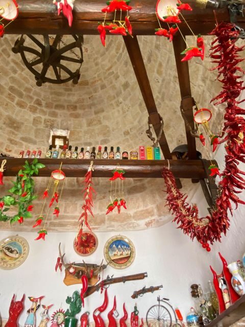 From Bari: Full-day tour to Polignano and Alberobello - A Day in Puglia: What the Tour Looks Like