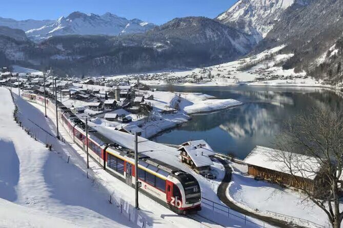 From Basel: Premium Panoramic train, Lucerne & Interlaken Tour - Key Points