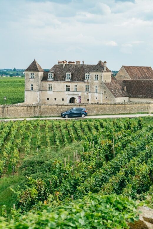 From Beaune: Burgundy Day Trip with 14 Wine Tastings - Key Points  
