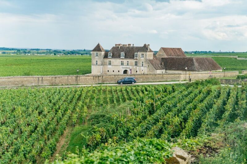 From Beaune: Burgundy Day Trip with 14 Wine Tastings - The Itinerary Breakdown