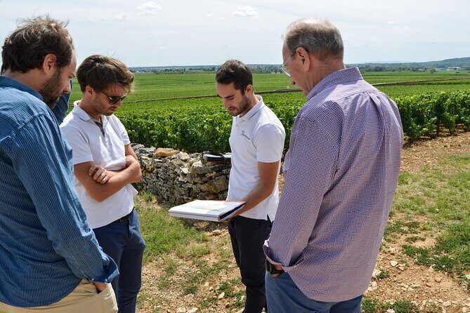 From Beaune: Full day the most of Burgundy, with lunch - The Experience: How It Feels to Join