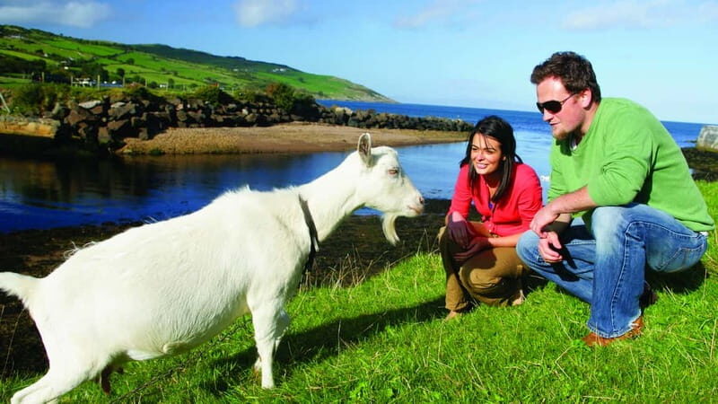 From Belfast: Giant's Causeway, Dunluce Castle & Dark Hedges - Authenticity and Practical Tips