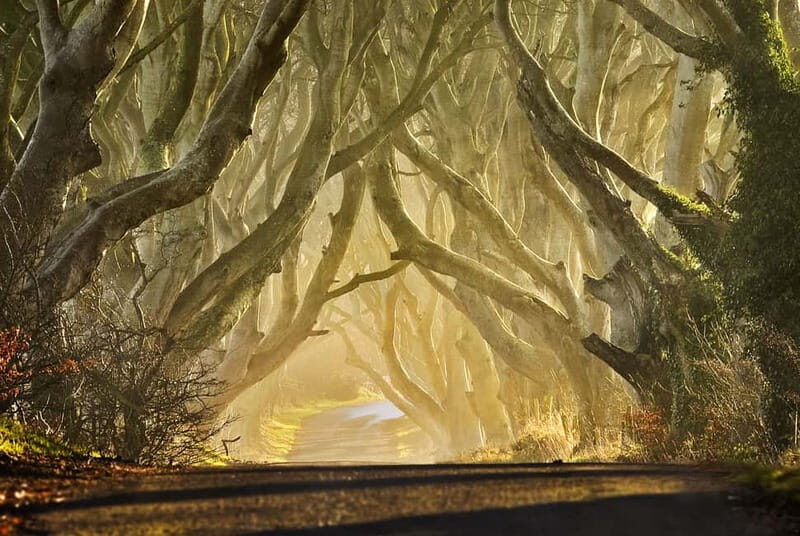 From Belfast: Iron Islands & Giant's Causeway - FAQ