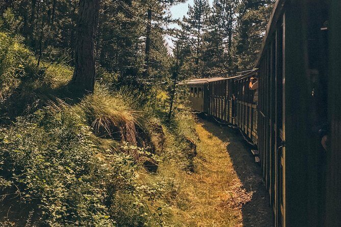 From Belgrade: Best of West (Drina House, Drvengrad & Sargan 8) - Final Thoughts