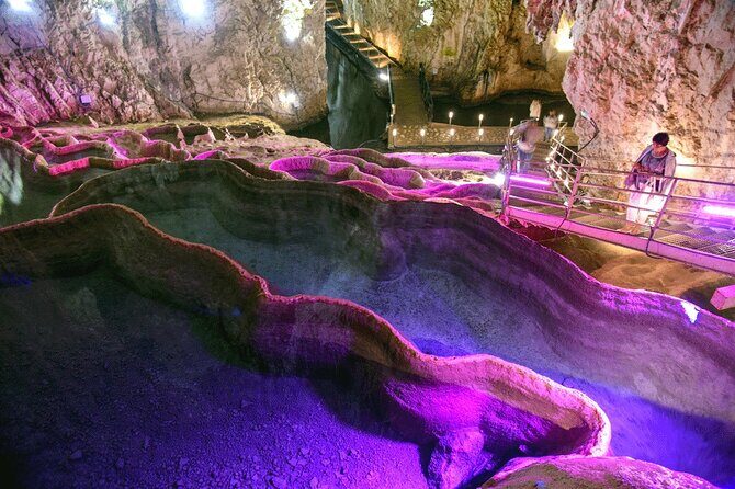 From Belgrade: Full day trip to Zlatibor Mountain - Practical Details: What to Expect