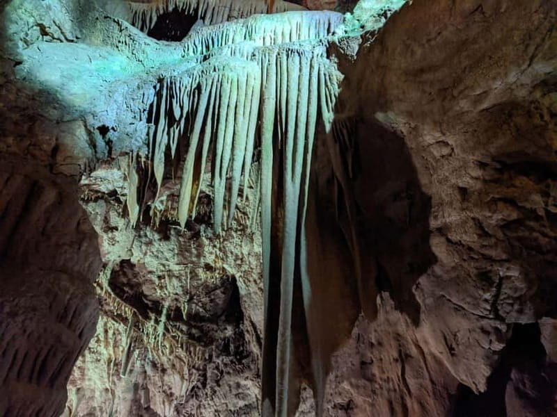 From Belgrade: Manasija Monastery and Resava Cave Tour - Who Should Consider This Tour?