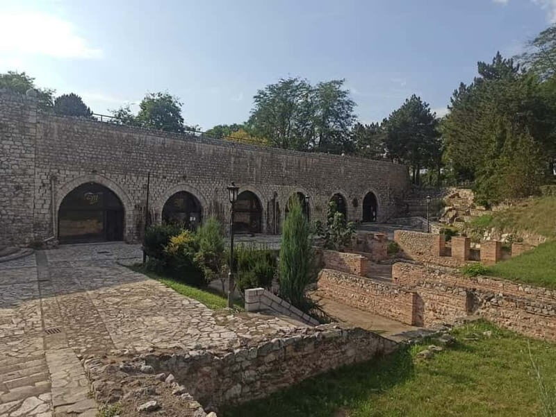 From Belgrade: Nis city full day tour - Crveni Krst Concentration Camp: A Sobering Introduction