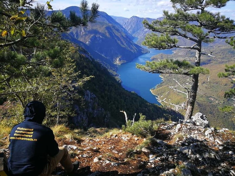 From Belgrade: Tara NP & Drina river & House on the Drina - The Value of This Tour