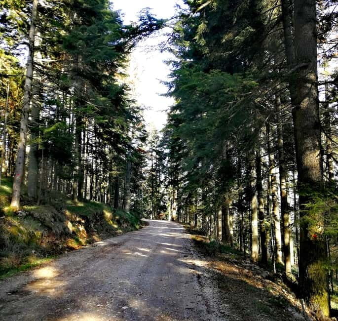 From Belgrade: Tara NP & Drina river & House on the Drina - Who Would Love This Tour?