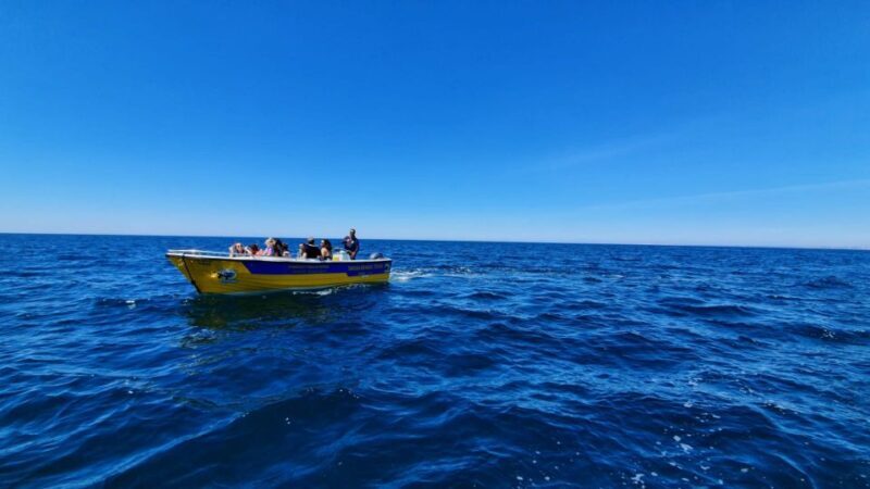 From Benagil: Benagil Cave & Marinha Beach Express Tour - Overview of the Tour Experience