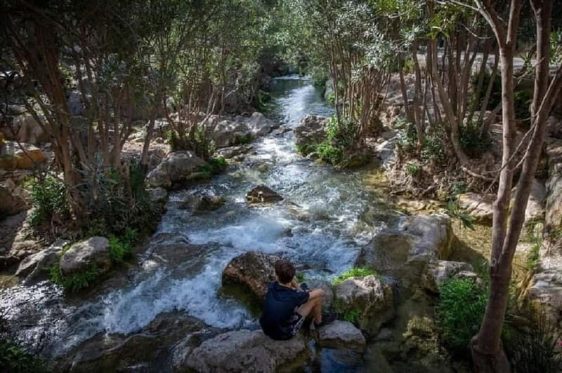 From Benidorm: Algar Waterfalls Tour with transfer - Discovering the Algar Waterfalls