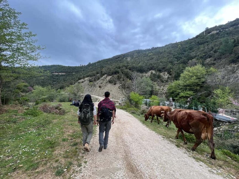 From Berat: Osumi Canyon and Bogova Waterfall tour. - Authentic Experiences Highlighted by Reviews