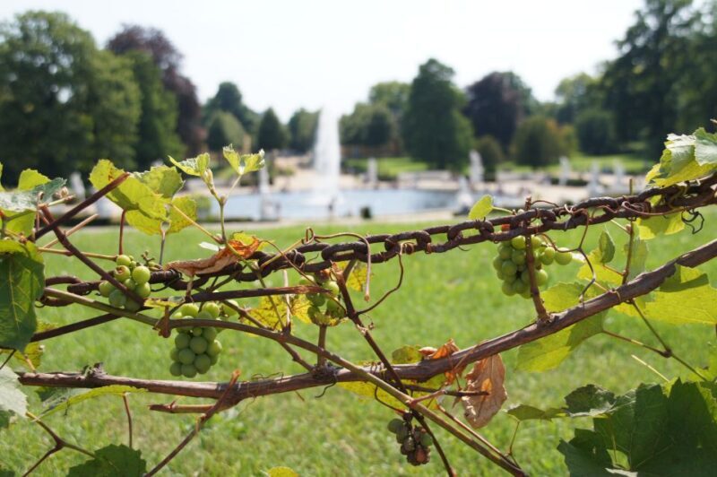 From Berlin: Potsdam Half-Day Tour in Spanish - A Closer Look at the Potsdam Half-Day Tour