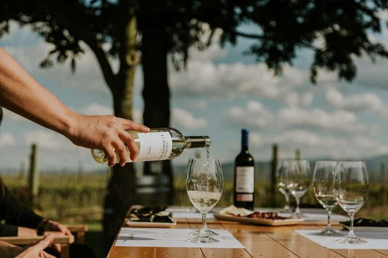 From Bilbao: La Rioja a journey to the vineyards & tradition - Key Points