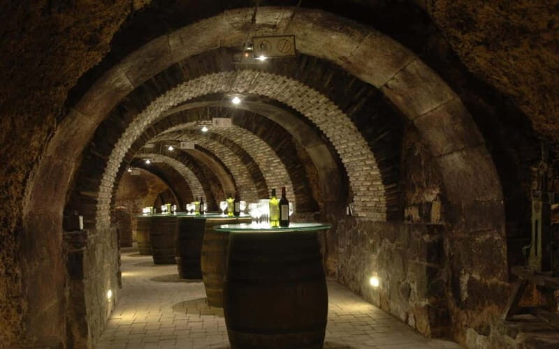 From Bilbao: La Rioja Wineries Day Trip with Wine Tastings - An In-Depth Look at the La Rioja Day Trip