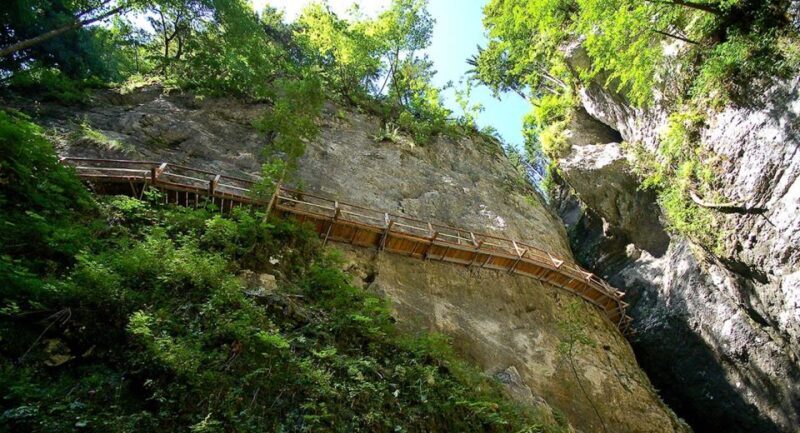 From Bled: Half-Day Pokljuka Gorge Trail Hike (Private) - Key Points