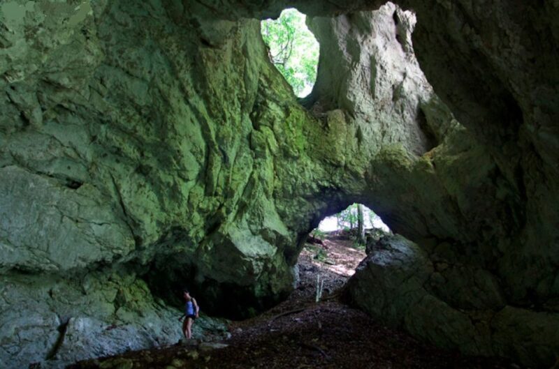 From Bled: Half-Day Pokljuka Gorge Trail Hike (Private) - Why Choose This Tour?
