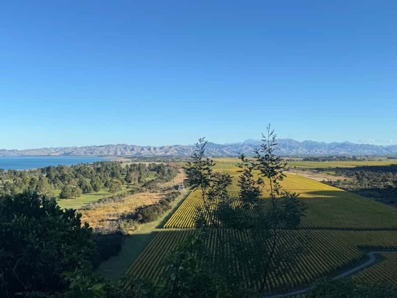 From Blenheim/Picton: Marlborough Gourmet Wine Tasting Tour - Key Points