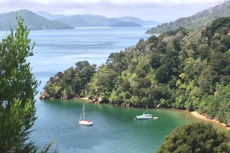 From Blenheim/Picton: Marlborough Gourmet Wine Tasting Tour - An Honest Look at the Marlborough Gourmet Wine Tasting Tour