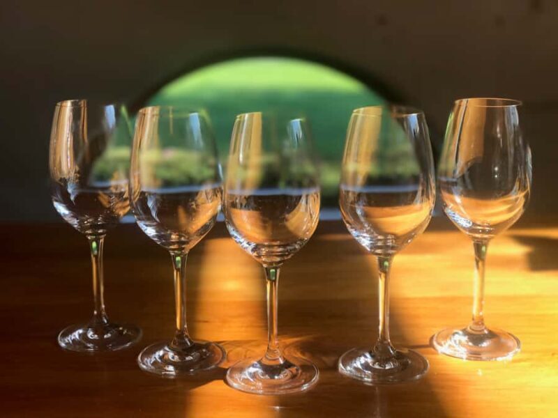 From Blenheim: Private Customizable Winery and Omaka Tour - From Blenheim: Private Customizable Winery and Omaka Tour — An Honest, Detailed Review