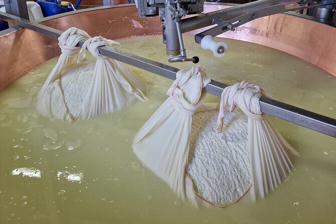From Bologna: Parmesan Cheese & Balsamic Vinegar Tour+Lunch - FAQ