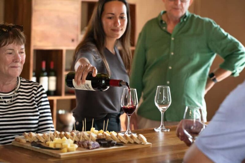 From Bordeaux: Afternoon Saint-Emilion Wine Tasting & snack - Exploring the Village & Château Tour