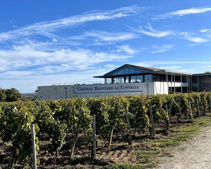 From Bordeaux: Afternoon Saint-Emilion Wine Tasting & snack - Wine Tasting & Food Pairing